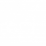 Discover – Dart Global Logistics (Pvt) Ltd